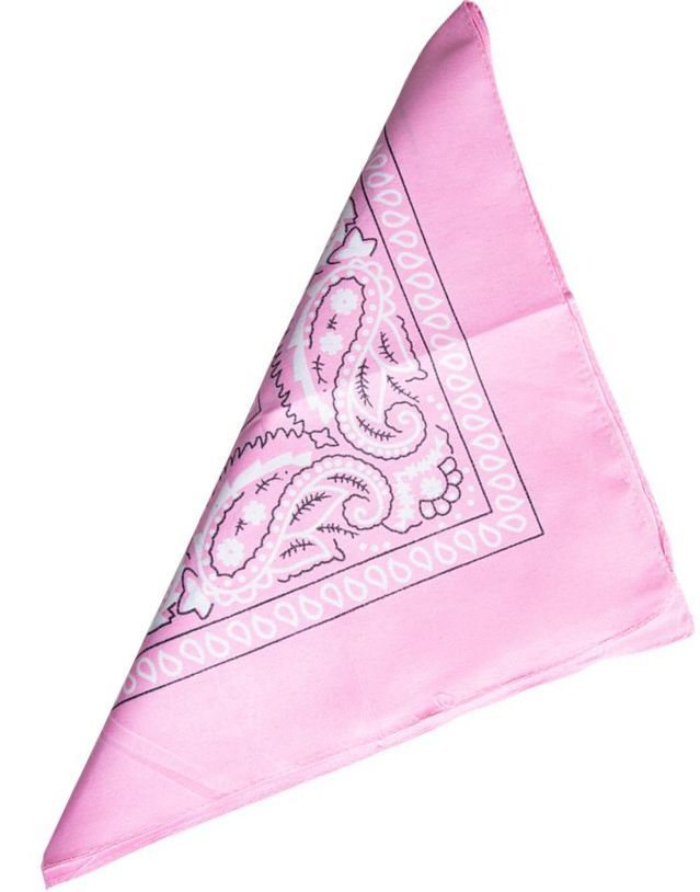 Paisley Bandana - Rosa - Internasjonalt - Andre Temaer - Kostymer etter ...