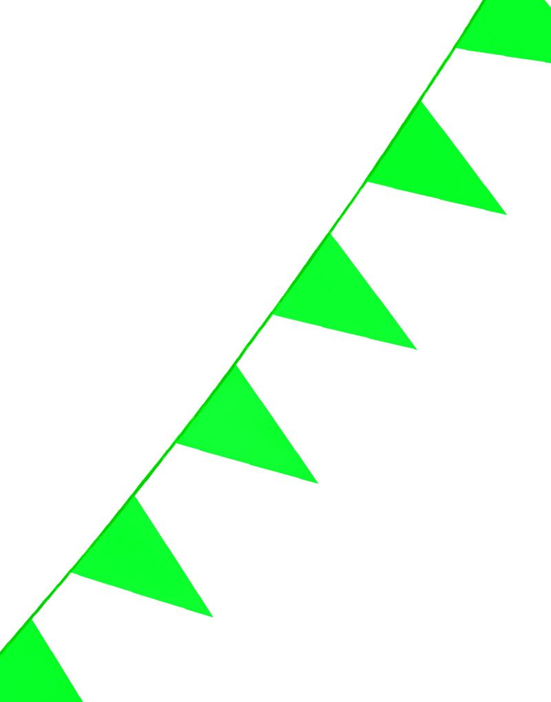 Grønt Banner med Store Vimpel Flagg 10 meter - Vimpler / Flaggbanner ...